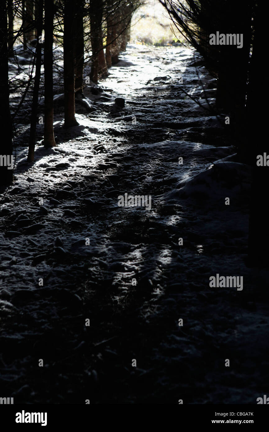 Trees in side of river hi-res stock photography and images - Alamy