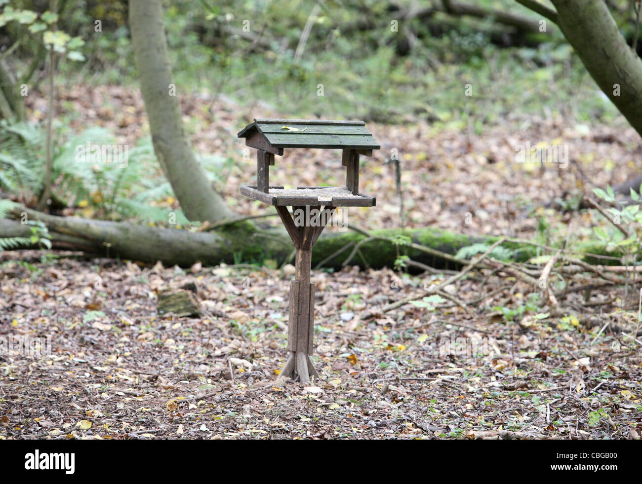 Wooden bird table in woodland Stock Photo - Alamy