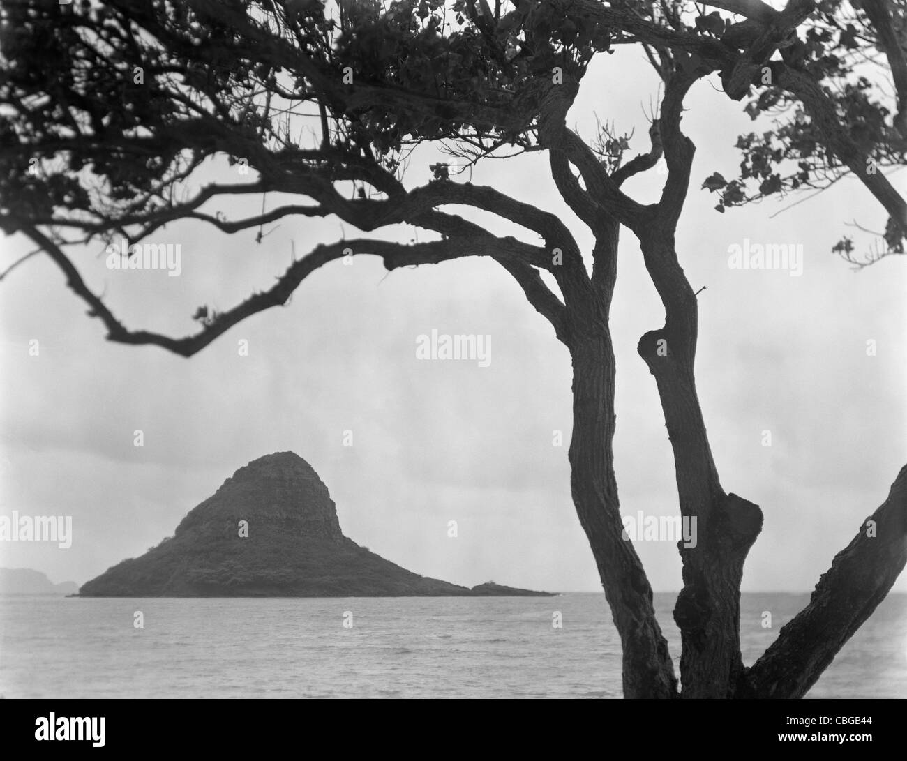 A rock formation in the Pacific Ocean, Oahu, Hawaii Stock Photo - Alamy