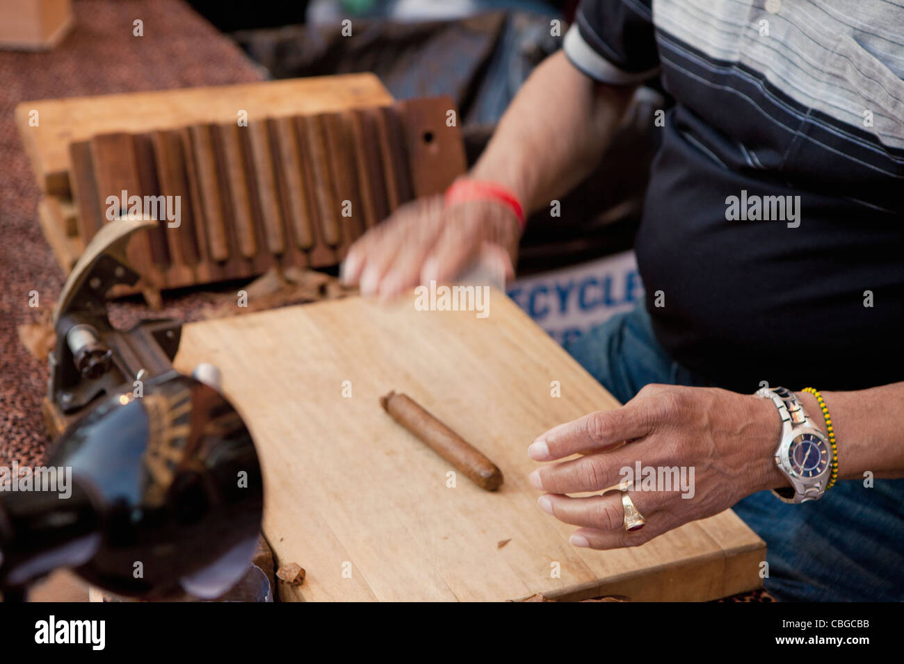 Worker at cigar factory Stock Photo - Alamy