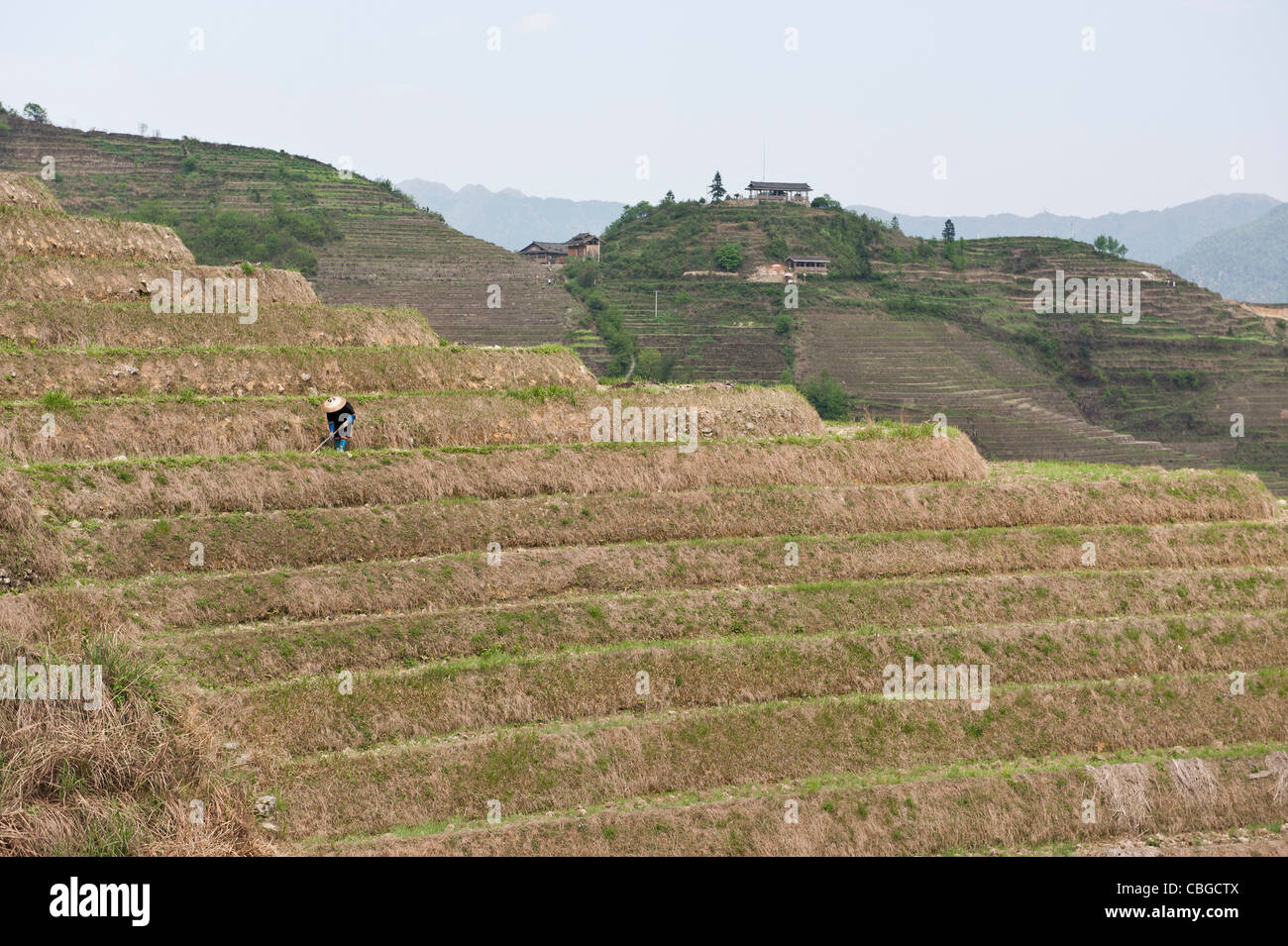 Worker at Ping'an Rice Terraces in China Stock Photo - Alamy