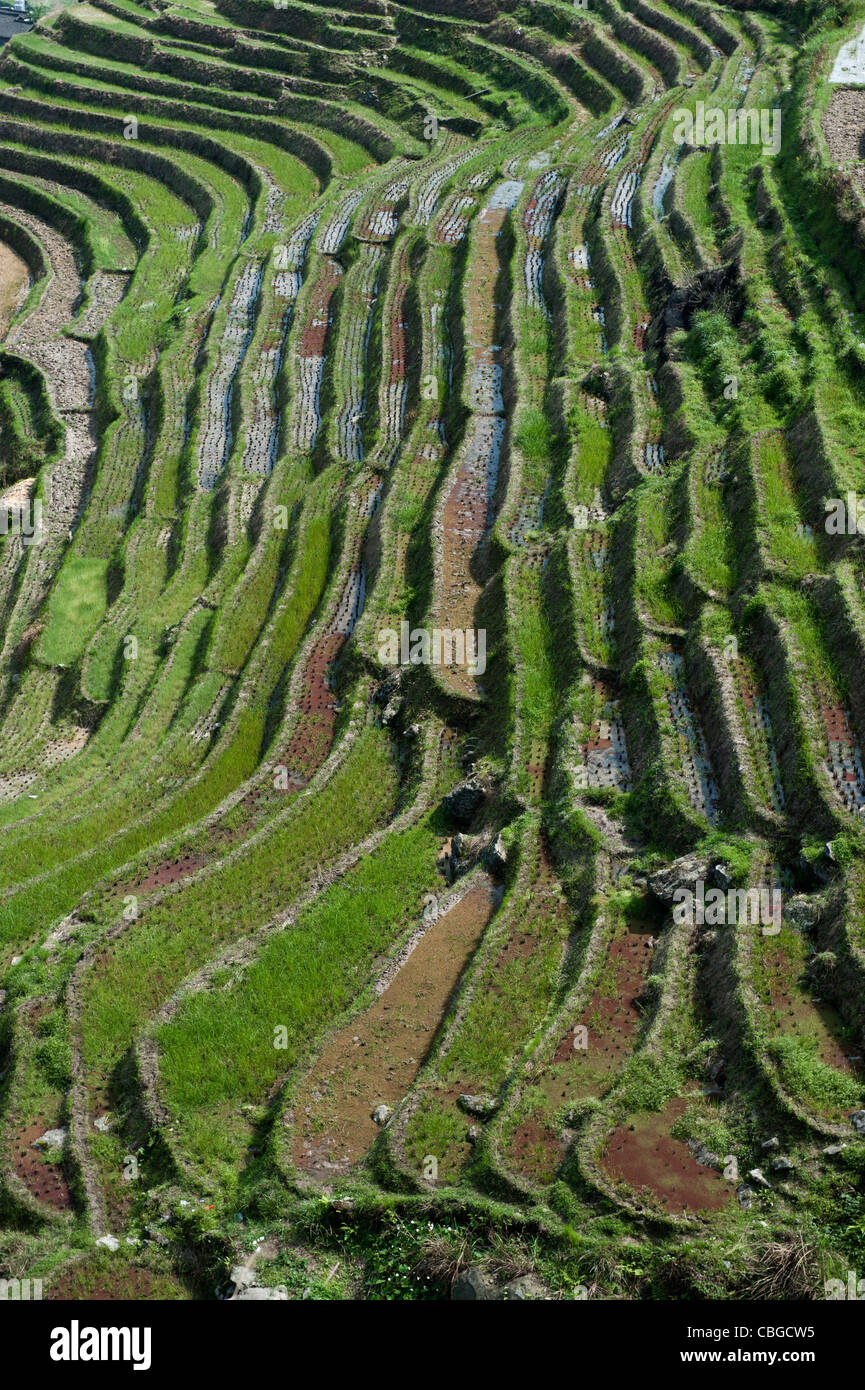 Pattern of Ping'an Rice Terraces in China Stock Photo - Alamy