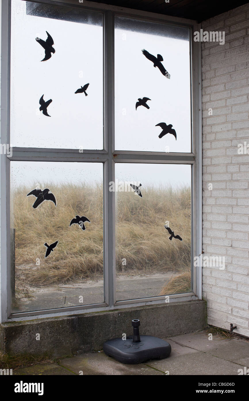 Black drawing of birds hi-res stock photography and images - Alamy