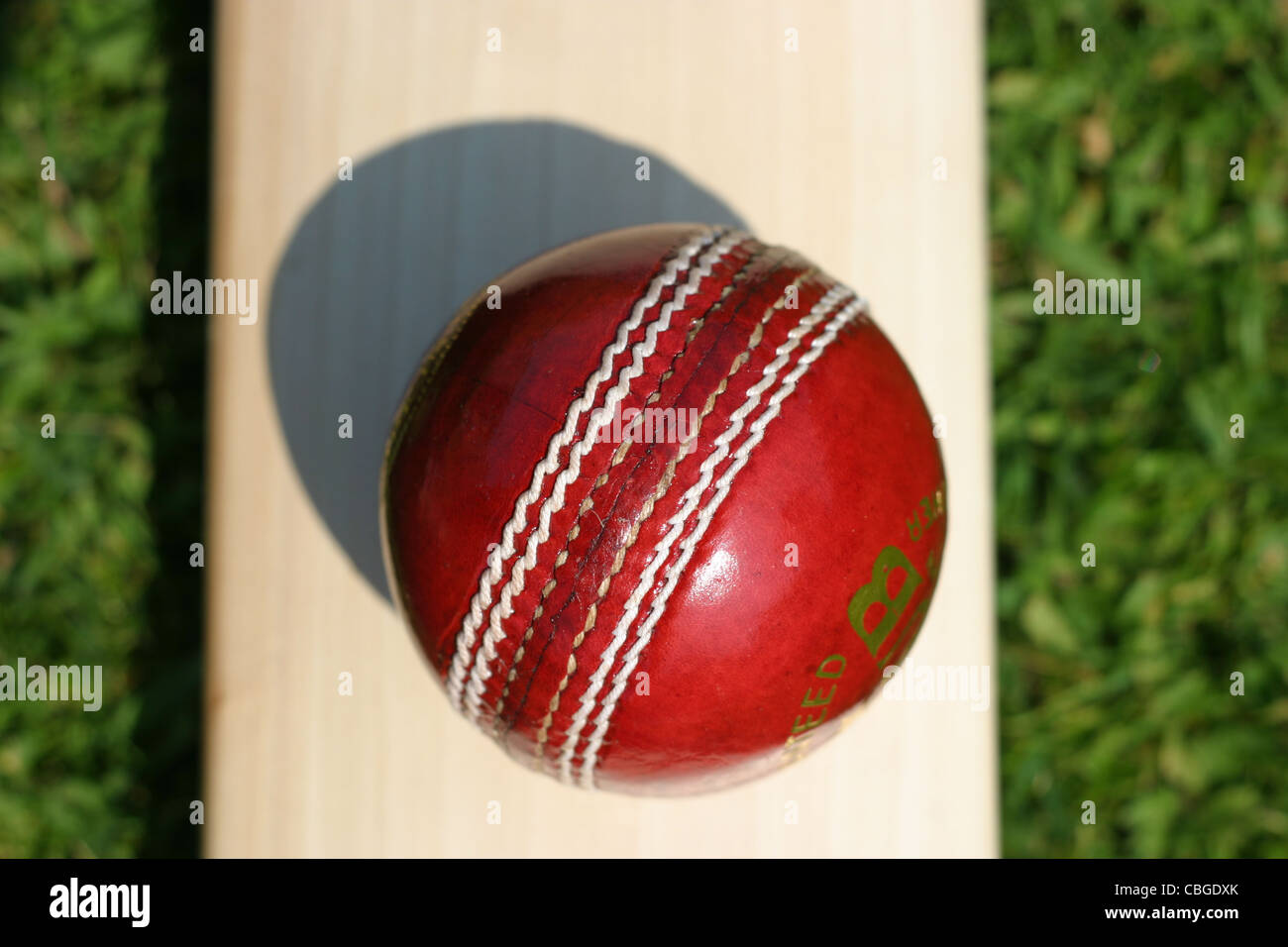Cricket Bat and cricket balls. Sports equipments Stock Photo - Alamy