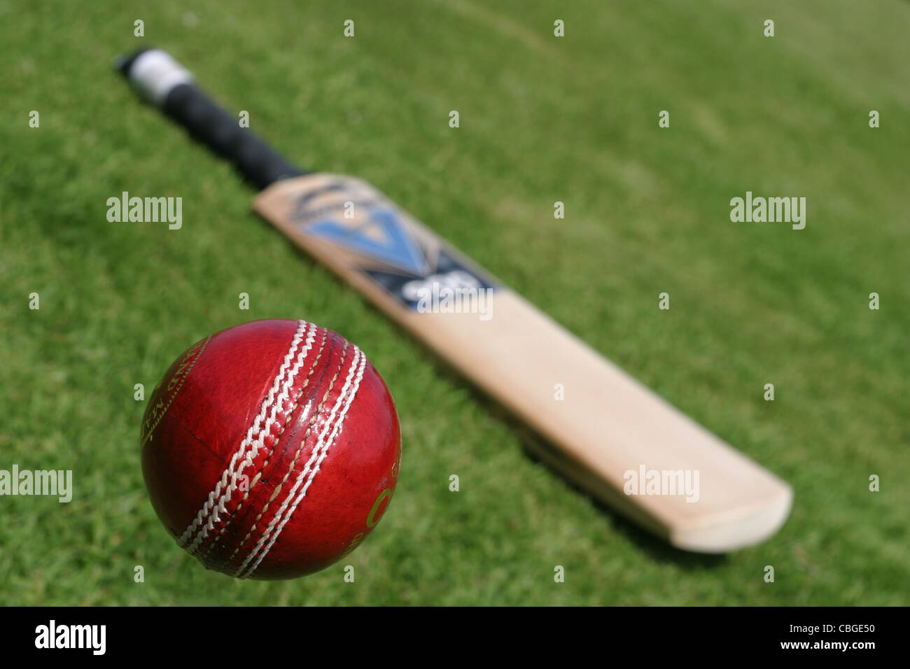 Cricket bat willow hi-res stock photography and images - Alamy