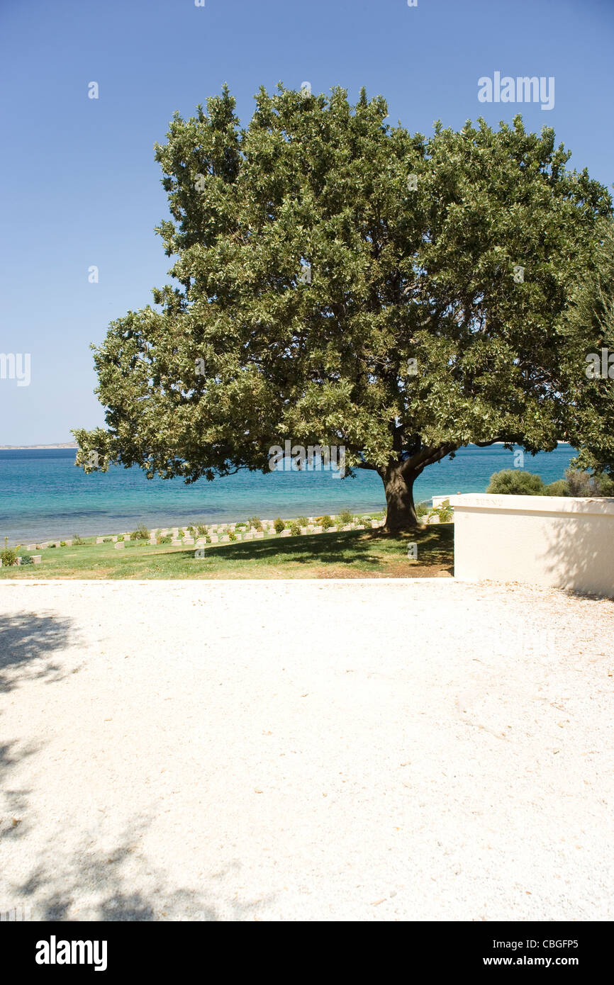 Ari Burnu Cemetery in Anzac cove in the Anzac area of Gallipoli, Turkey ...