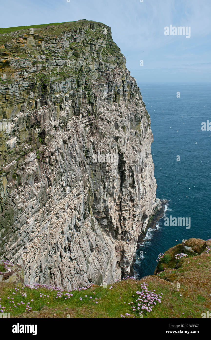 Isle of noss hi-res stock photography and images - Alamy
