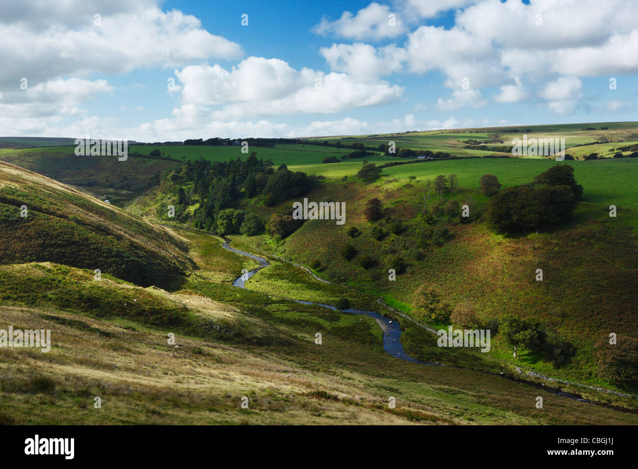 River Barle at Cornham Brake near Simonsbath. Exmoor National Park ...