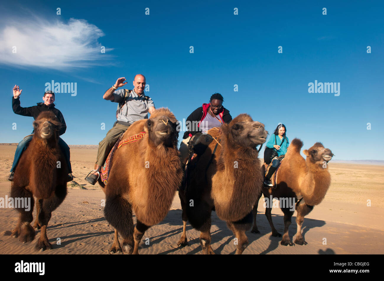 tourists riding twin humped Bactrian camels in the Gobi Desert of ...
