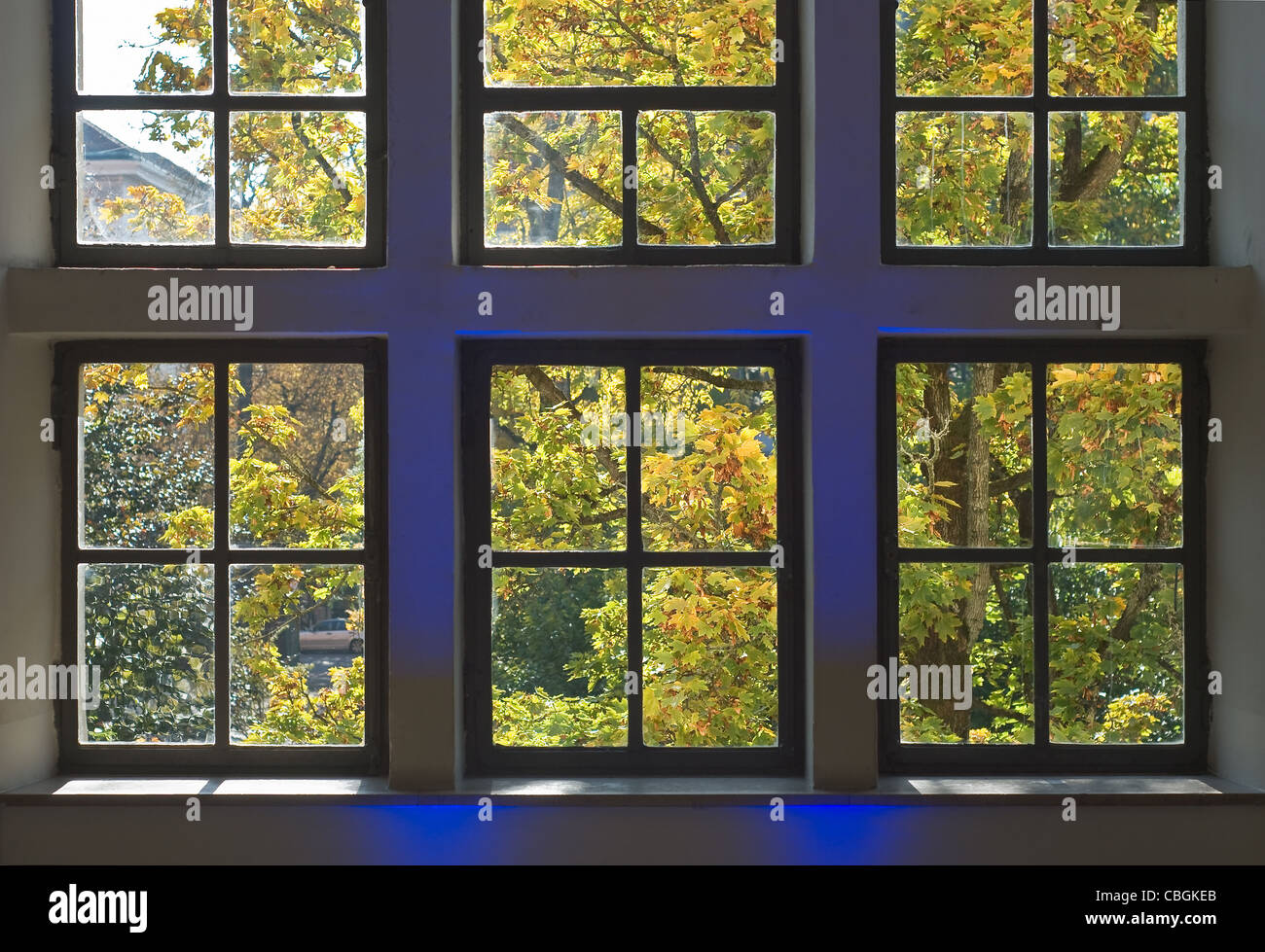 Window with Colorful Autumn View of Leaves Stock Photo - Alamy