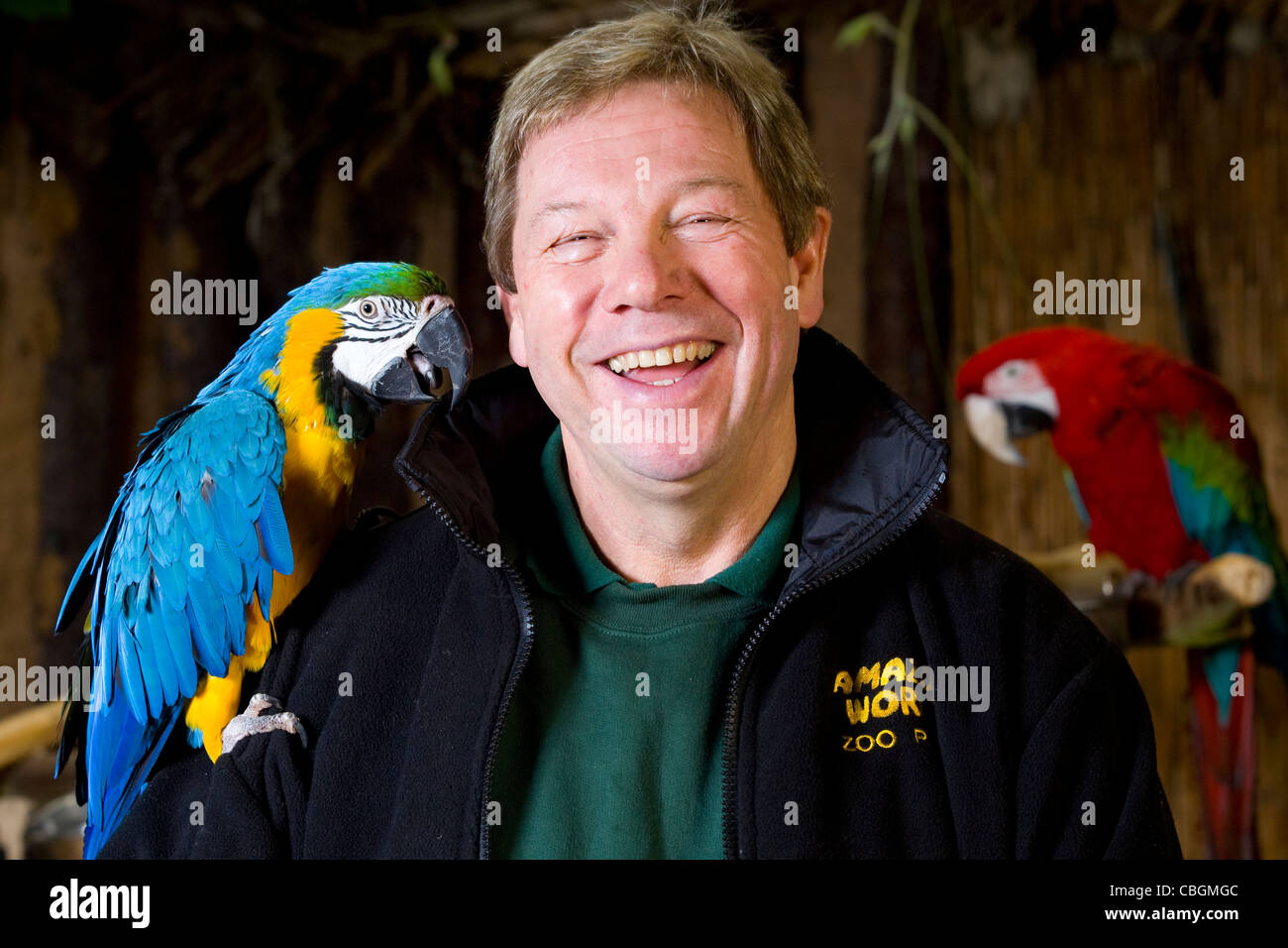 Parrots, Birds, Derek Curtis, Owner, Amazon World, Arreton, Isle of ...