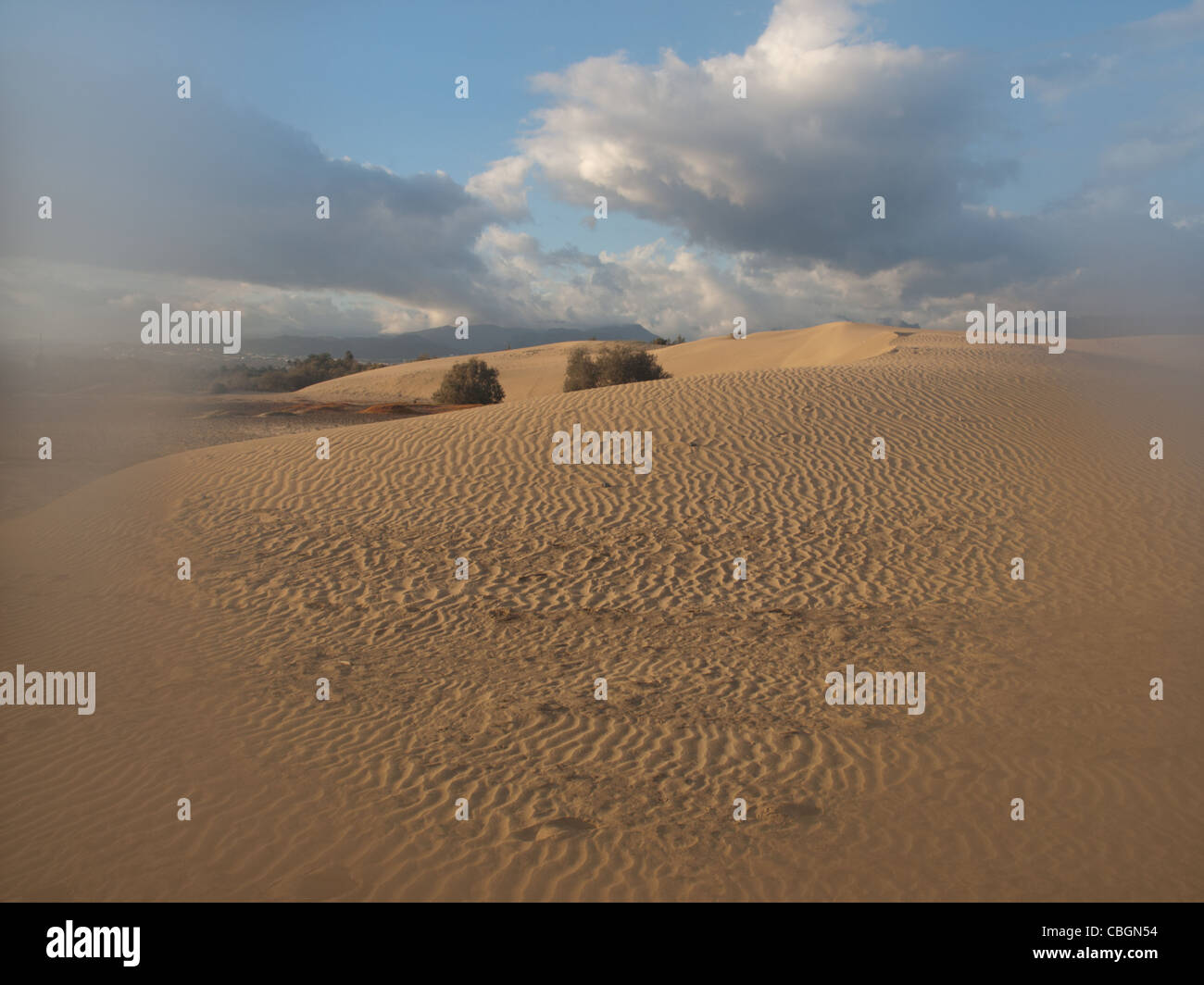 Cran canaria hi-res stock photography and images - Alamy