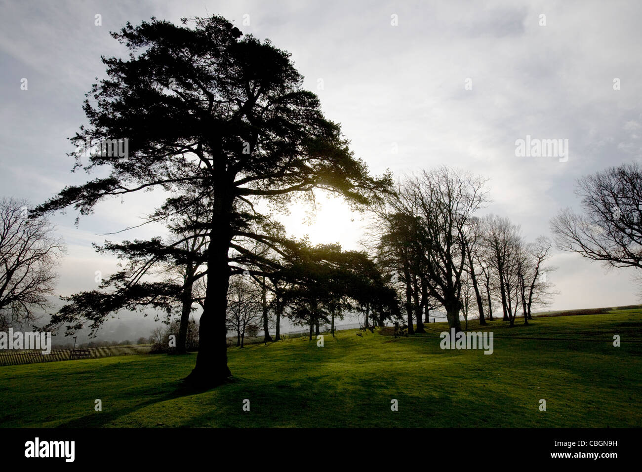 Wroxall isle of wight hi-res stock photography and images - Alamy