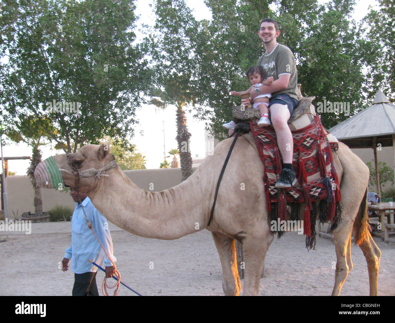 Kuwait camel hi-res stock photography and images - Alamy