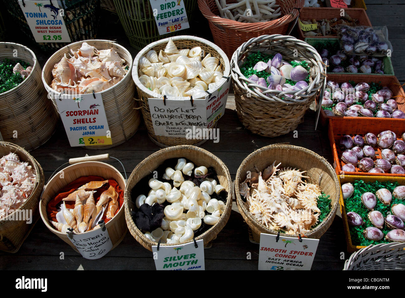 Seashells for sale at a tourist souvenir shop on Llandudno Pier Stock ...