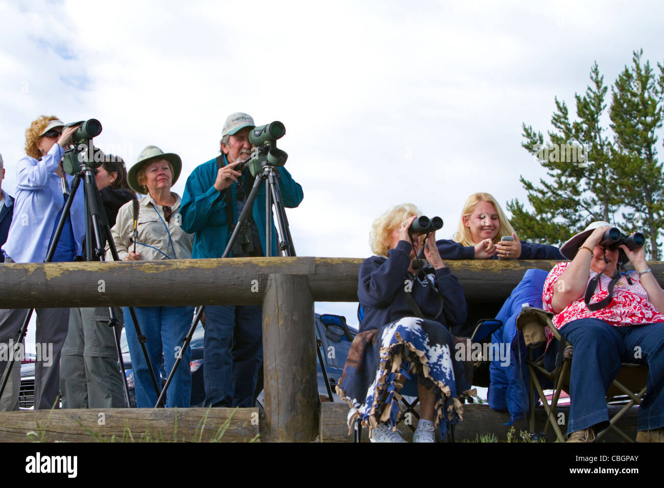 Tourists viewing wildlife in Yellowstone National Park, USA Stock Photo ...