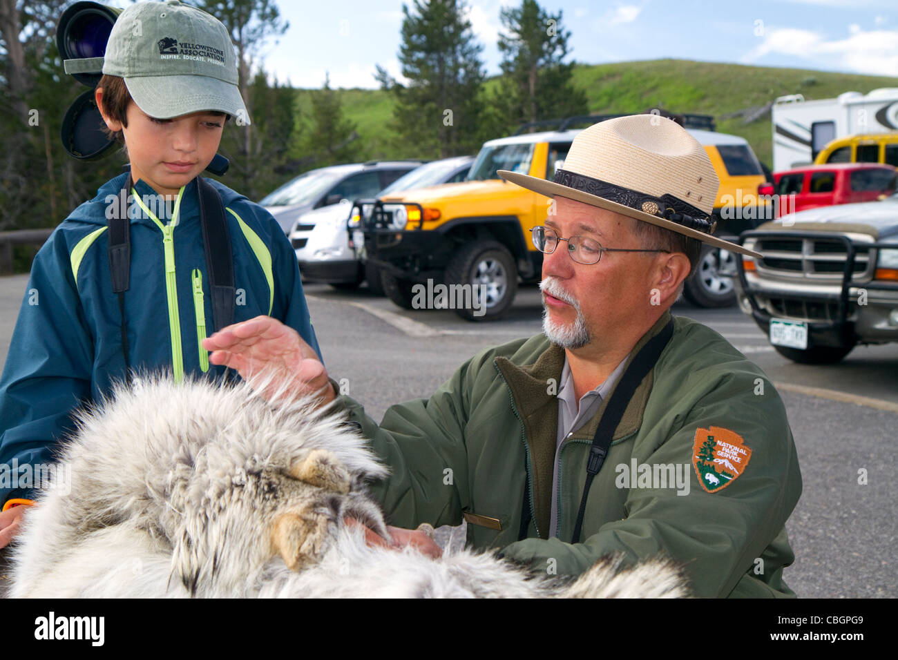 Park ranger showing kids a wolf pelt in Yellowstone National Park, USA ...