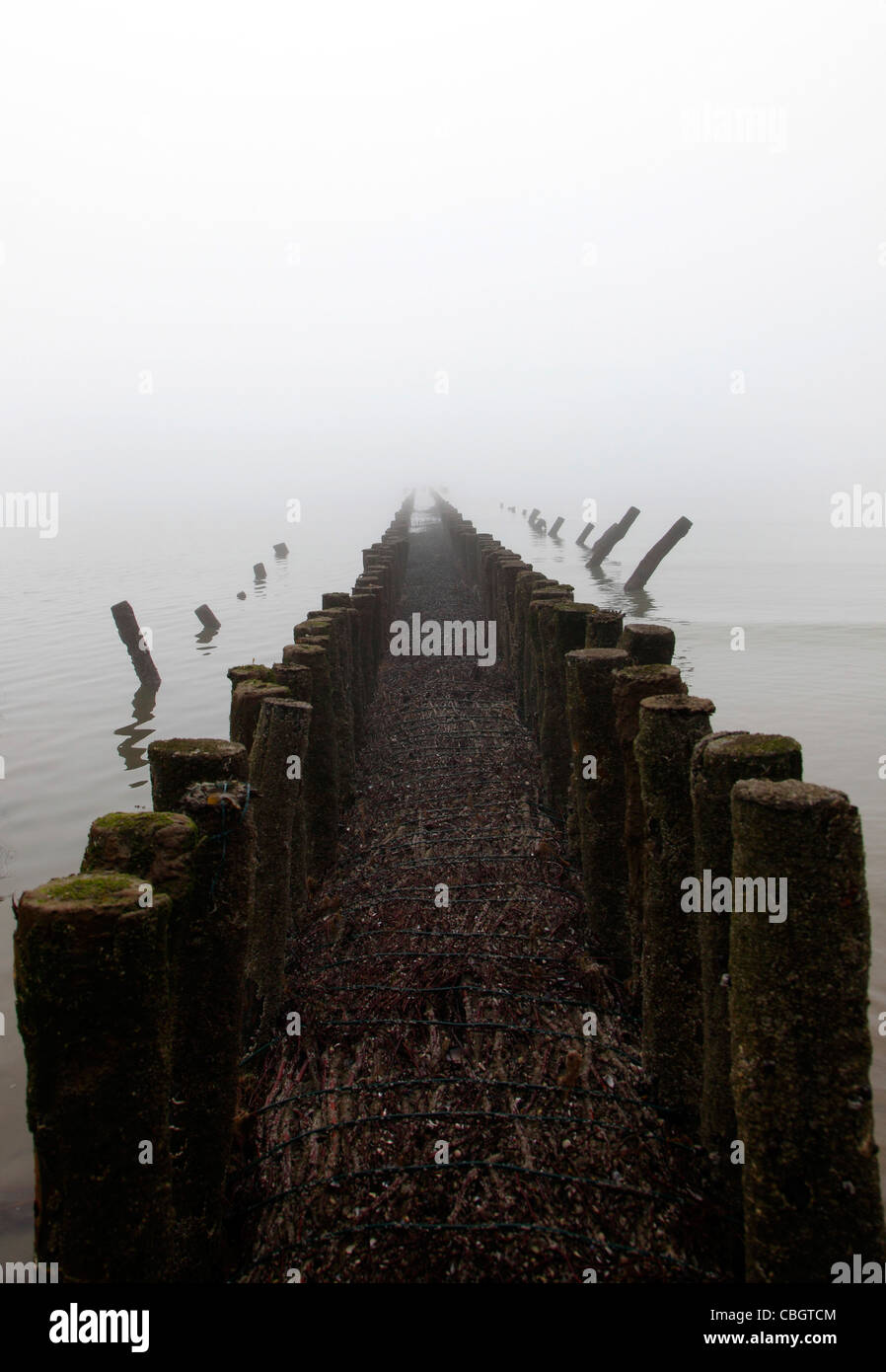 Low tide an thick fog, Breakwater, at the North sea shore of the East ...