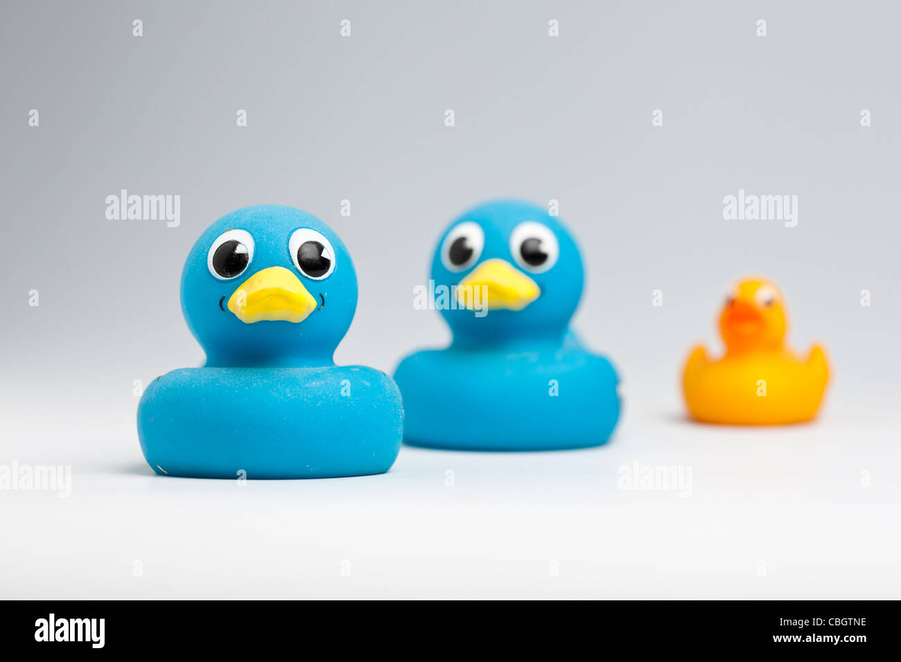 Three rubber ducks Stock Photo - Alamy