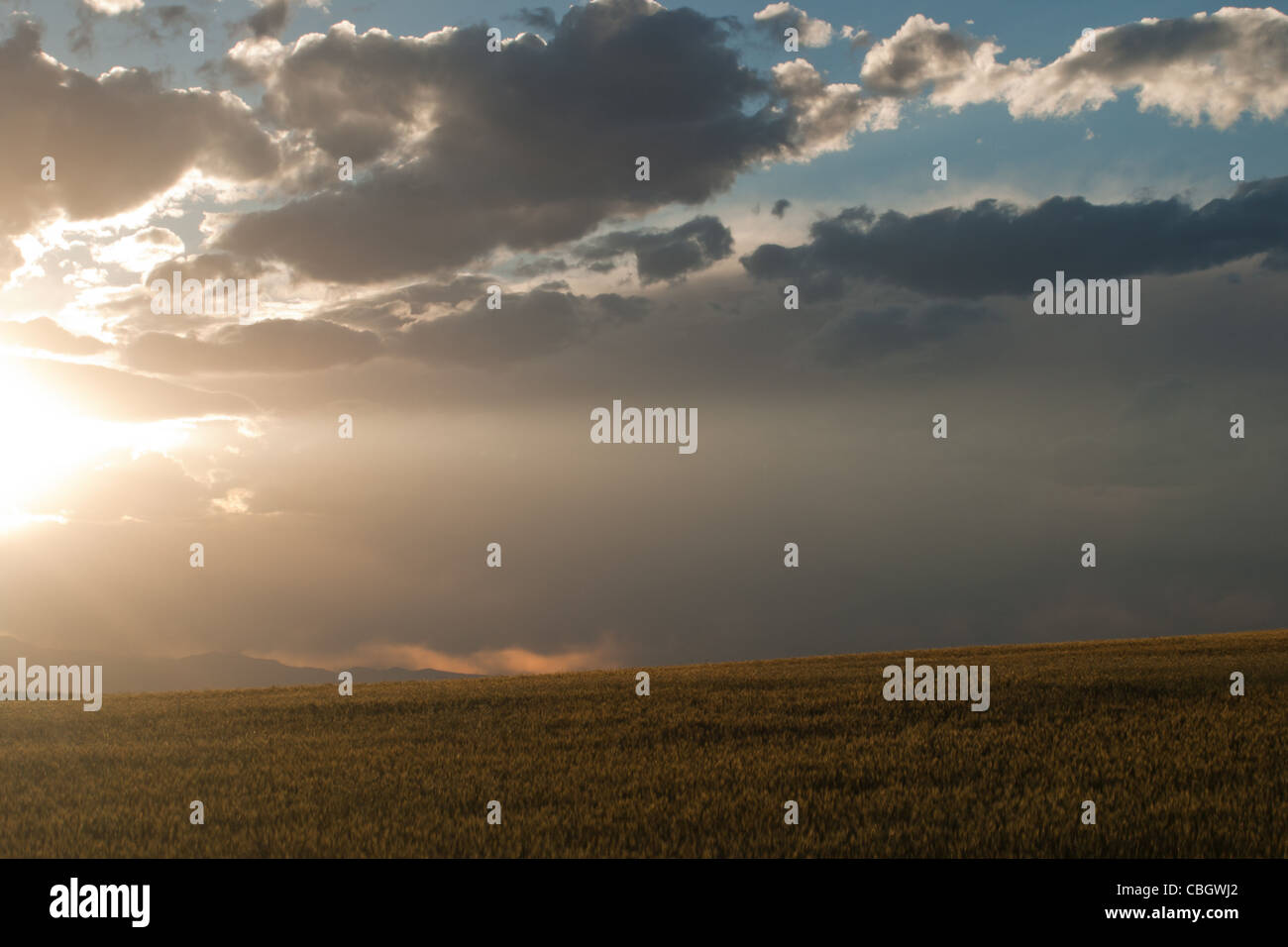 Dawn over denver colorado hi-res stock photography and images - Alamy