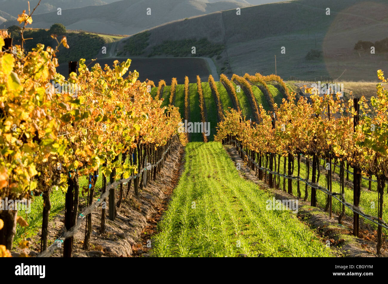 California Farming Harvest High Resolution Stock Photography and Images ...