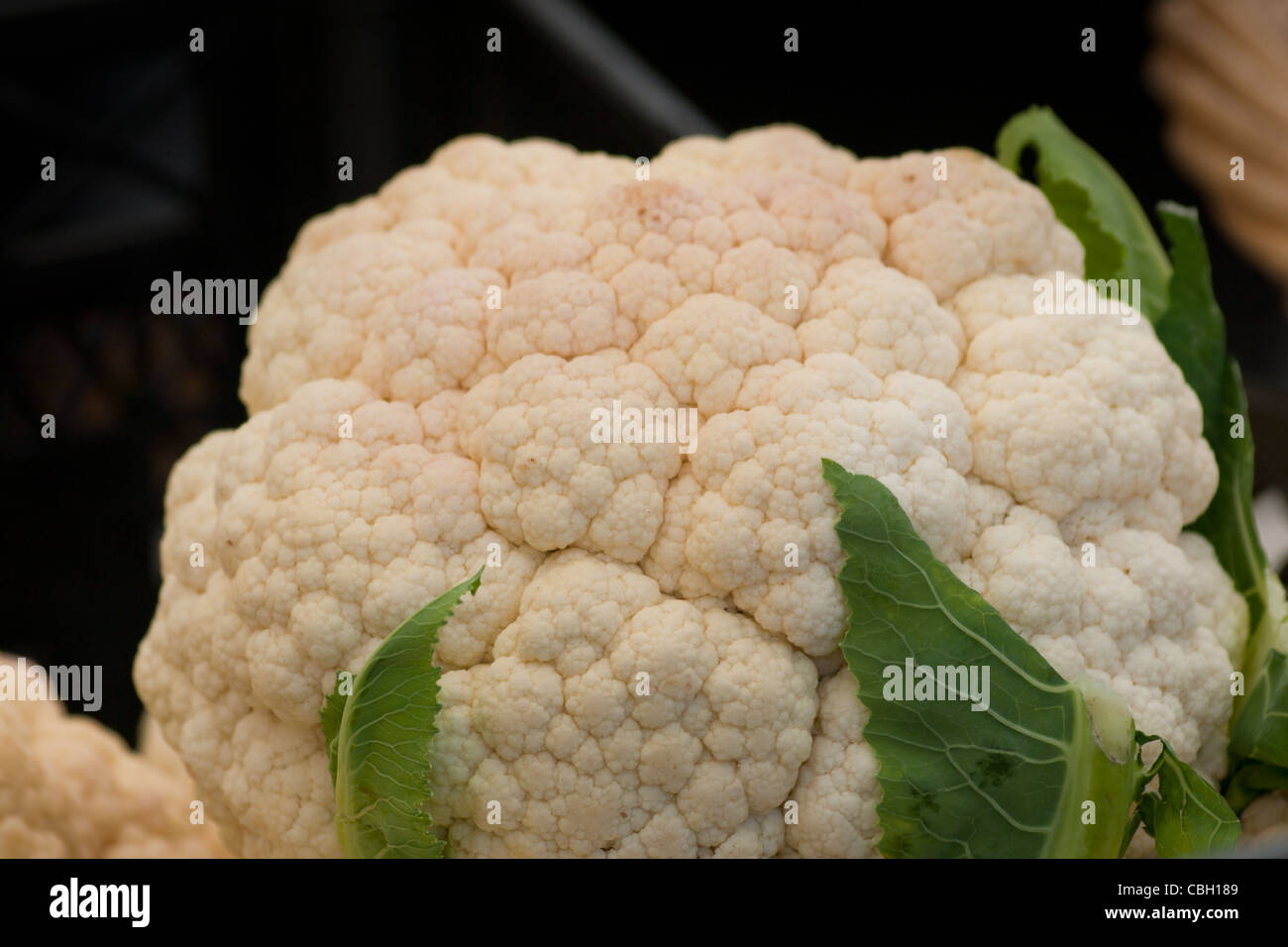 Close up of white cauliflower Stock Photo - Alamy