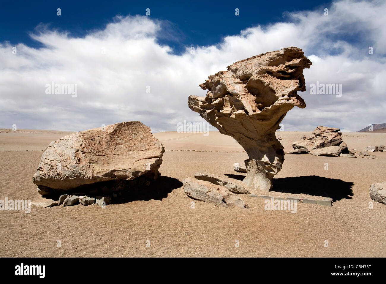 Stone tree Laguna at natural reserve Eduardo Avaroa National Reserve of ...