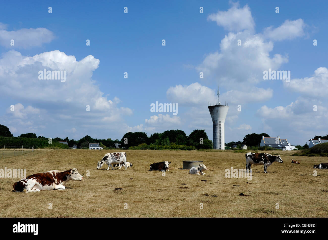 Ile de Groix,Island,Morbihan,Bretagne,Brittany,France Stock Photo - Alamy
