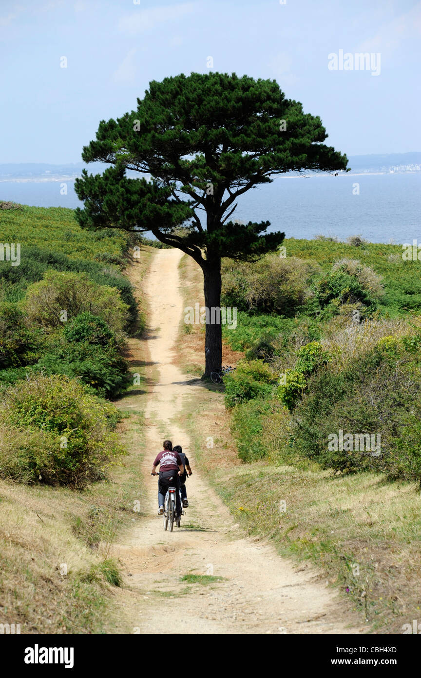 Ile de Groix,Island,Morbihan,Bretagne,Brittany,France Stock Photo - Alamy