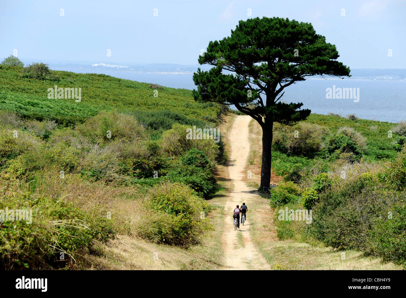 Ile de Groix,Island,Morbihan,Bretagne,Brittany,France Stock Photo - Alamy