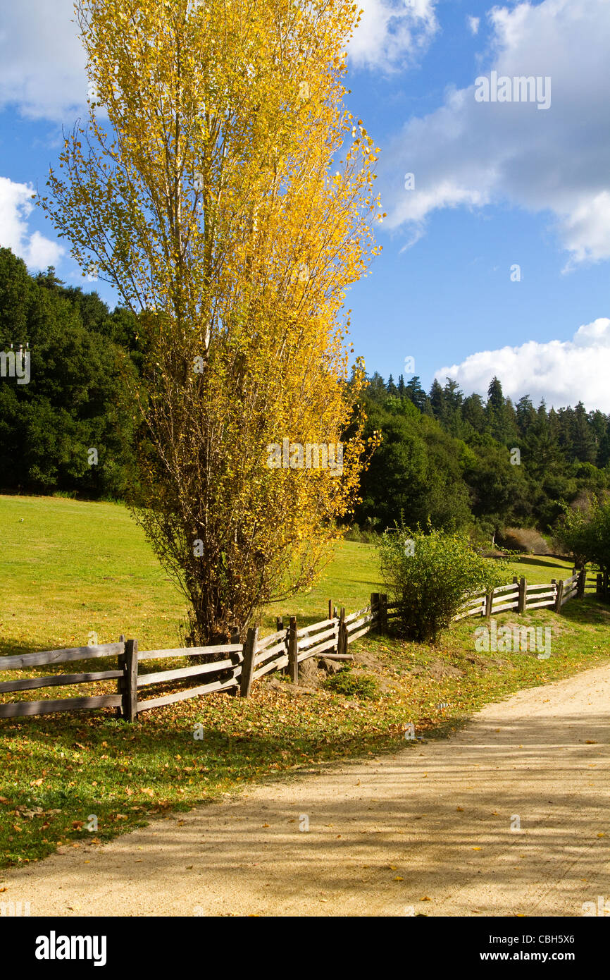 Foot_fall Stock Photos & Foot_fall Stock Images - Alamy