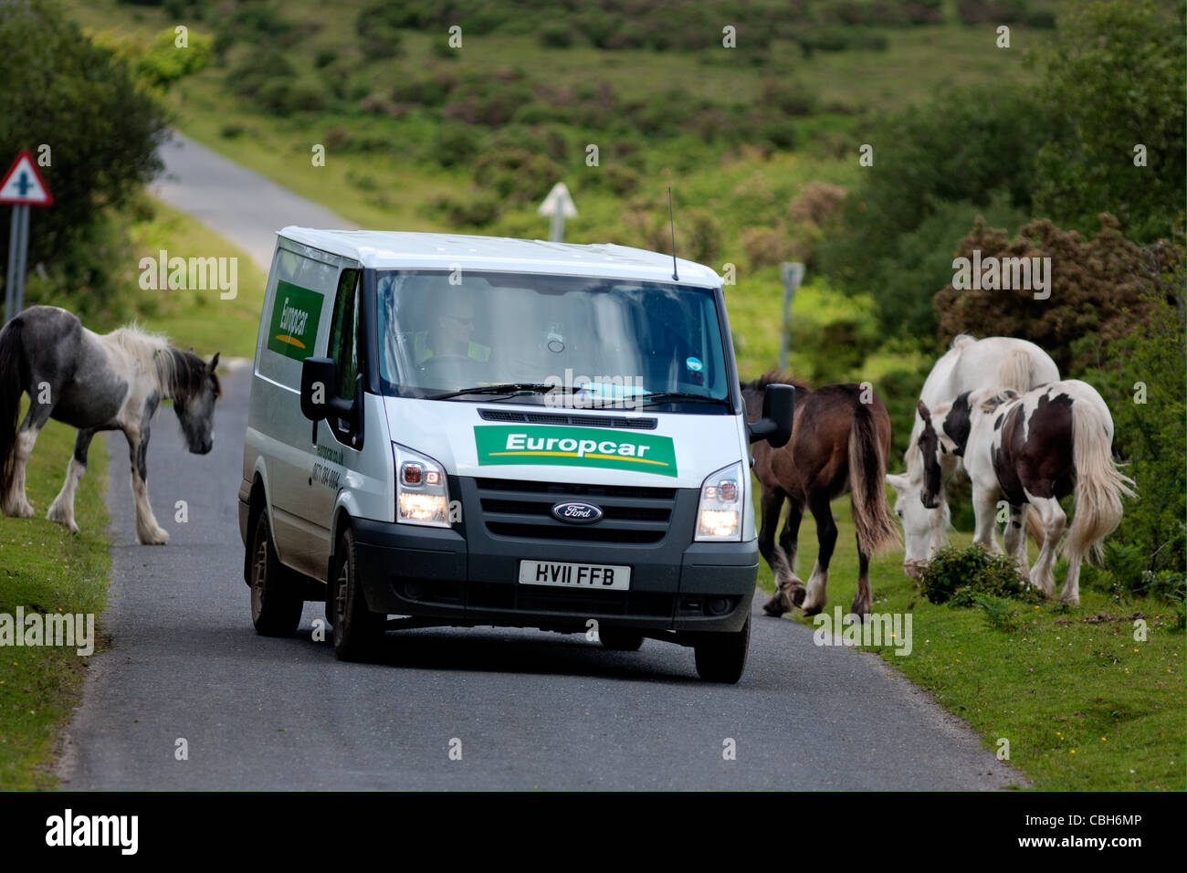 Van vehicle hire service forest hi-res stock photography and images - Alamy