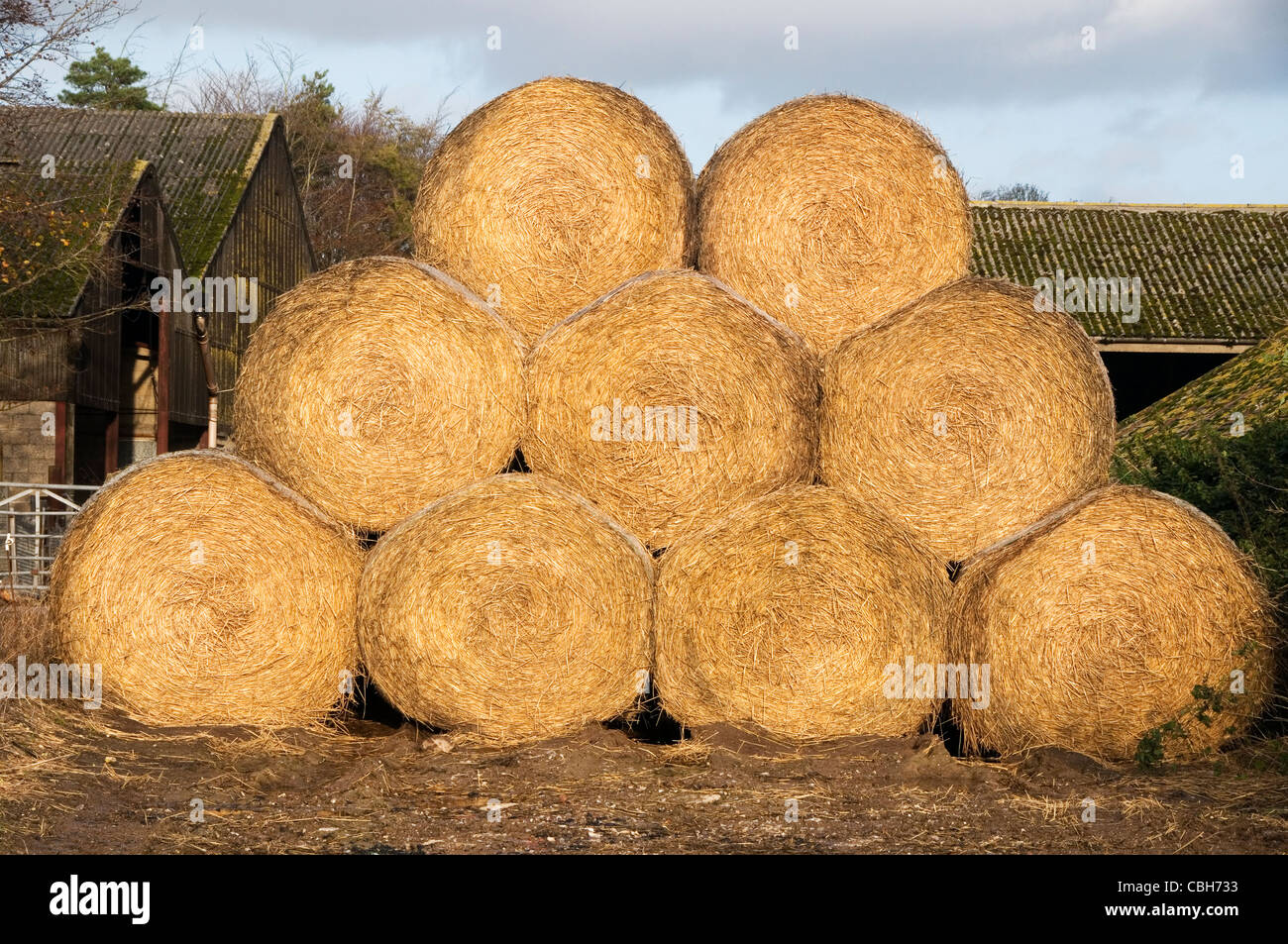 Stacked hay bales hi-res stock photography and images - Alamy