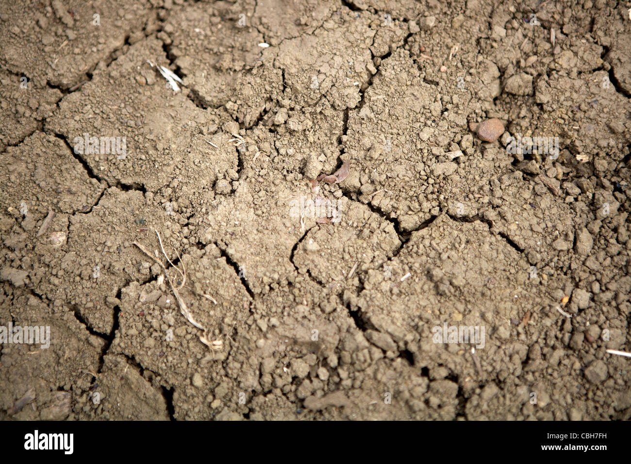 Desiccation hi-res stock photography and images - Alamy