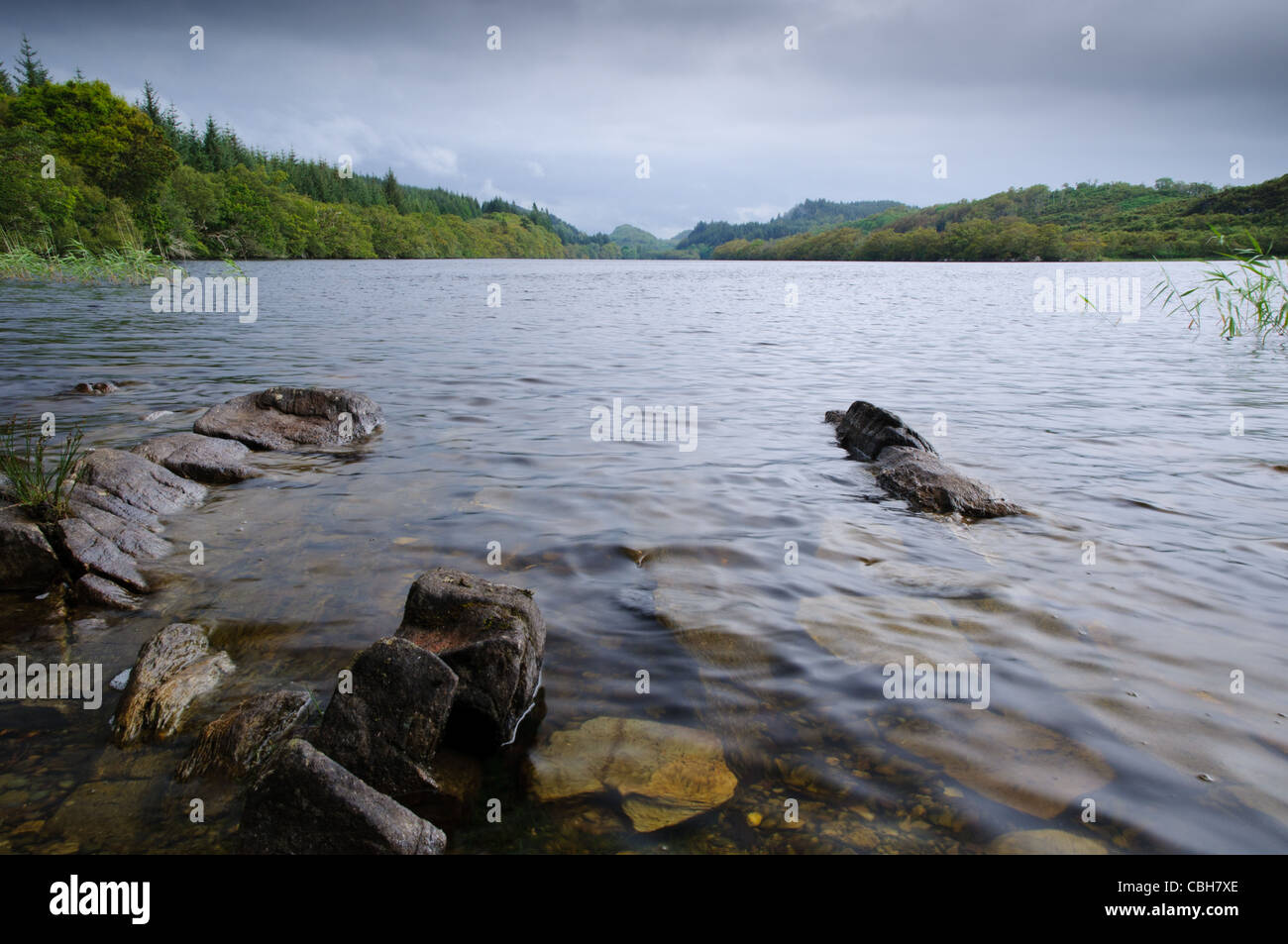 Coille hi-res stock photography and images - Alamy