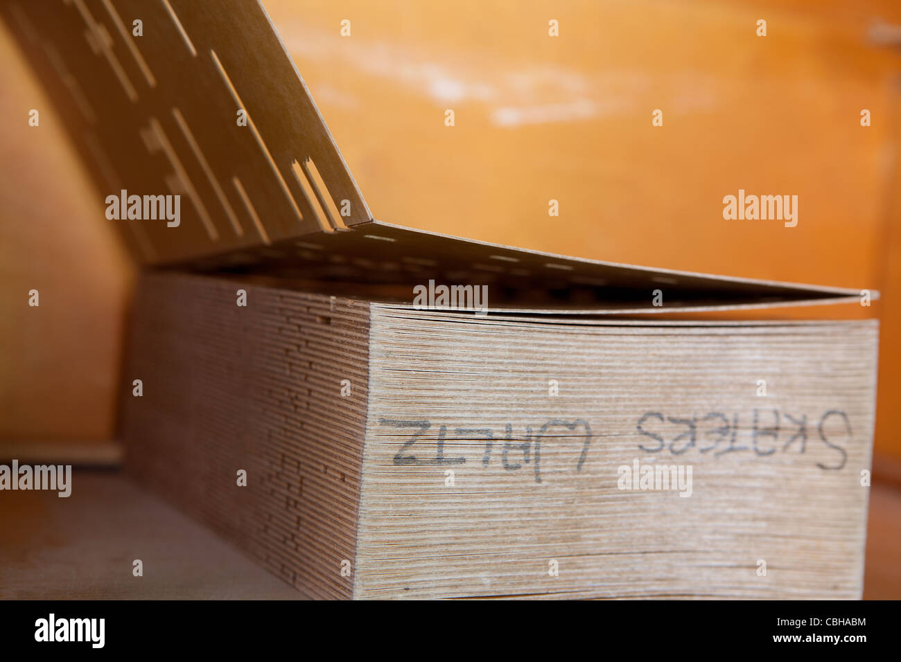 Dutch Street Organ - Australian Fair Melbourne Victoria key frame sheet ...
