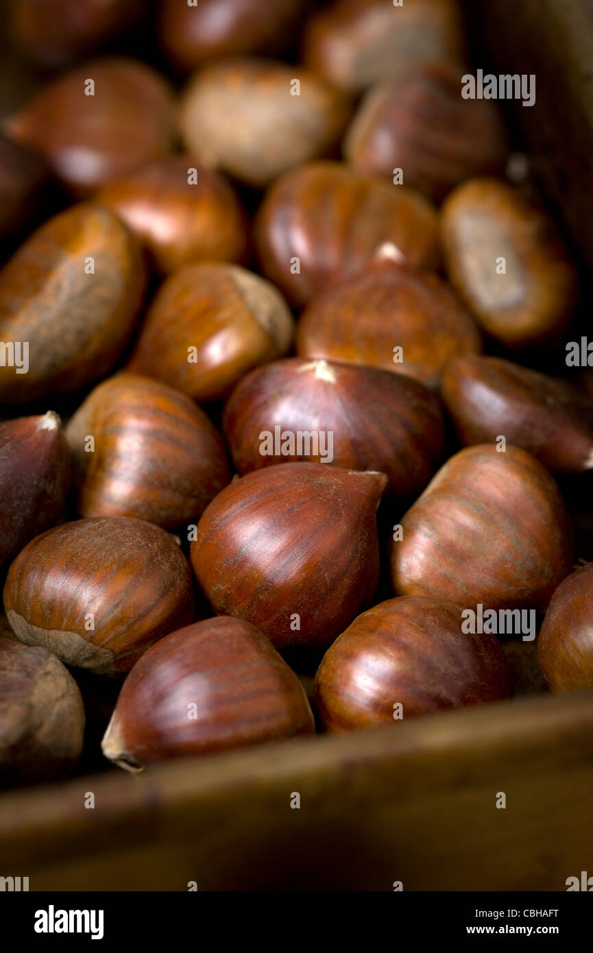 sweet chestnuts in a roasting tin Stock Photo - Alamy