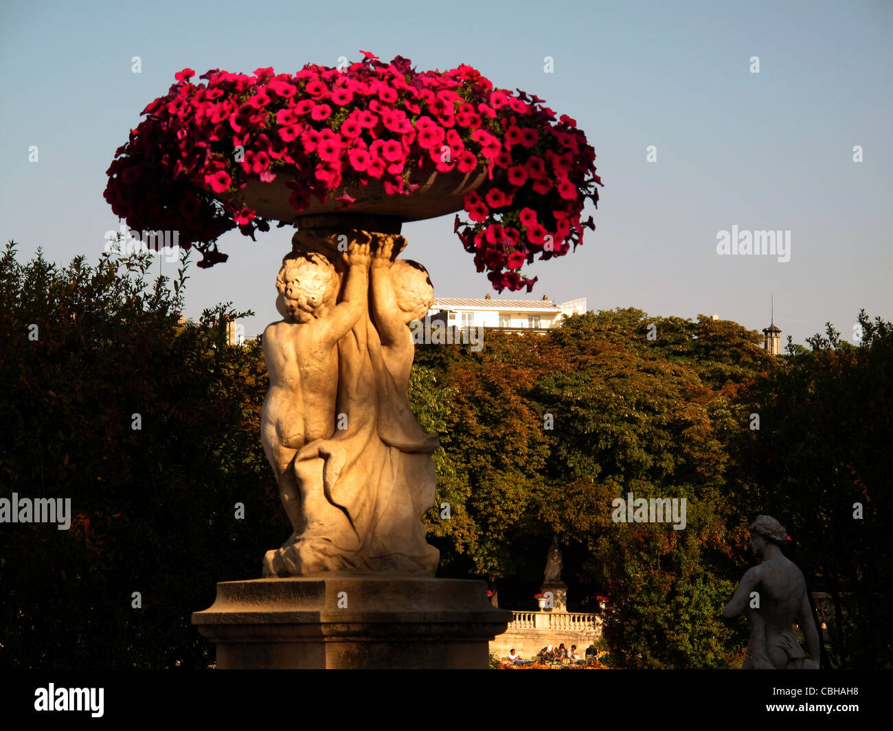 Red flowers in Luxembourg garden,Paris, France Stock Photo - Alamy