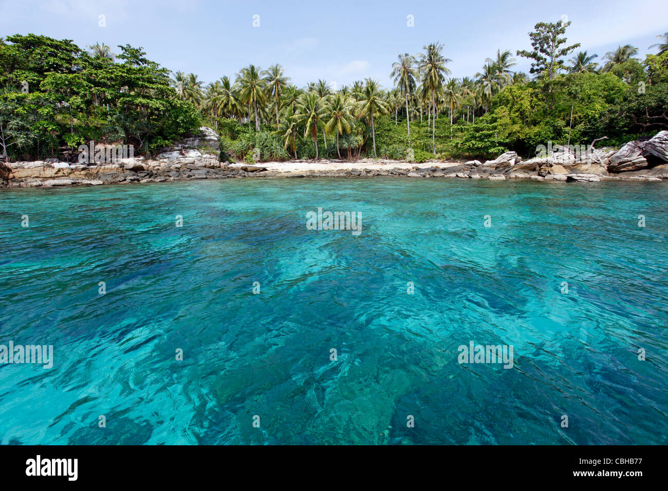 Palm trees on a tropical paradise sandy beach with clear blue green sea ...