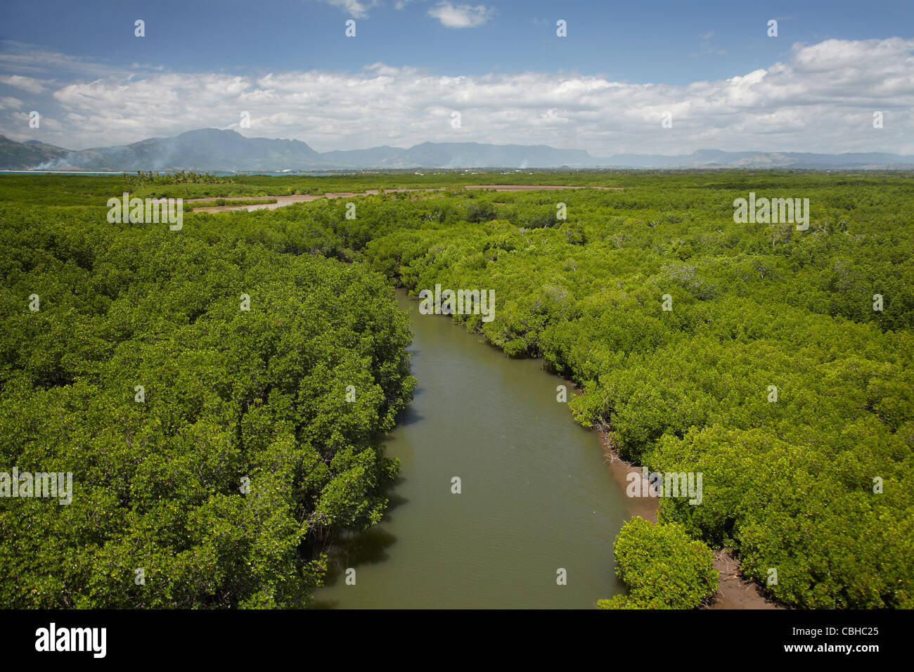 Swamp aerial hi-res stock photography and images - Alamy