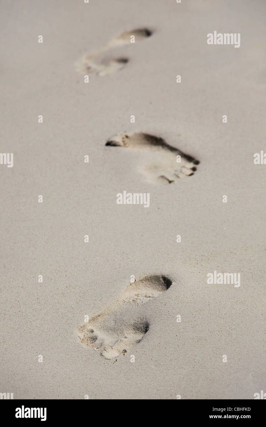 Row of footprints walking along a sandy beach on Miang Island, Similan ...