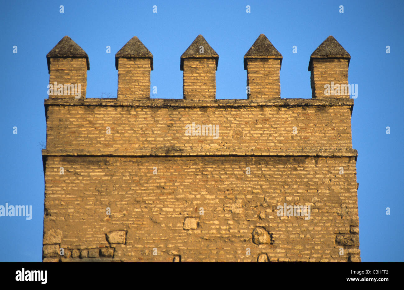 Detail of the walls of the Reales Alcazares palace, Seville, Spain ...