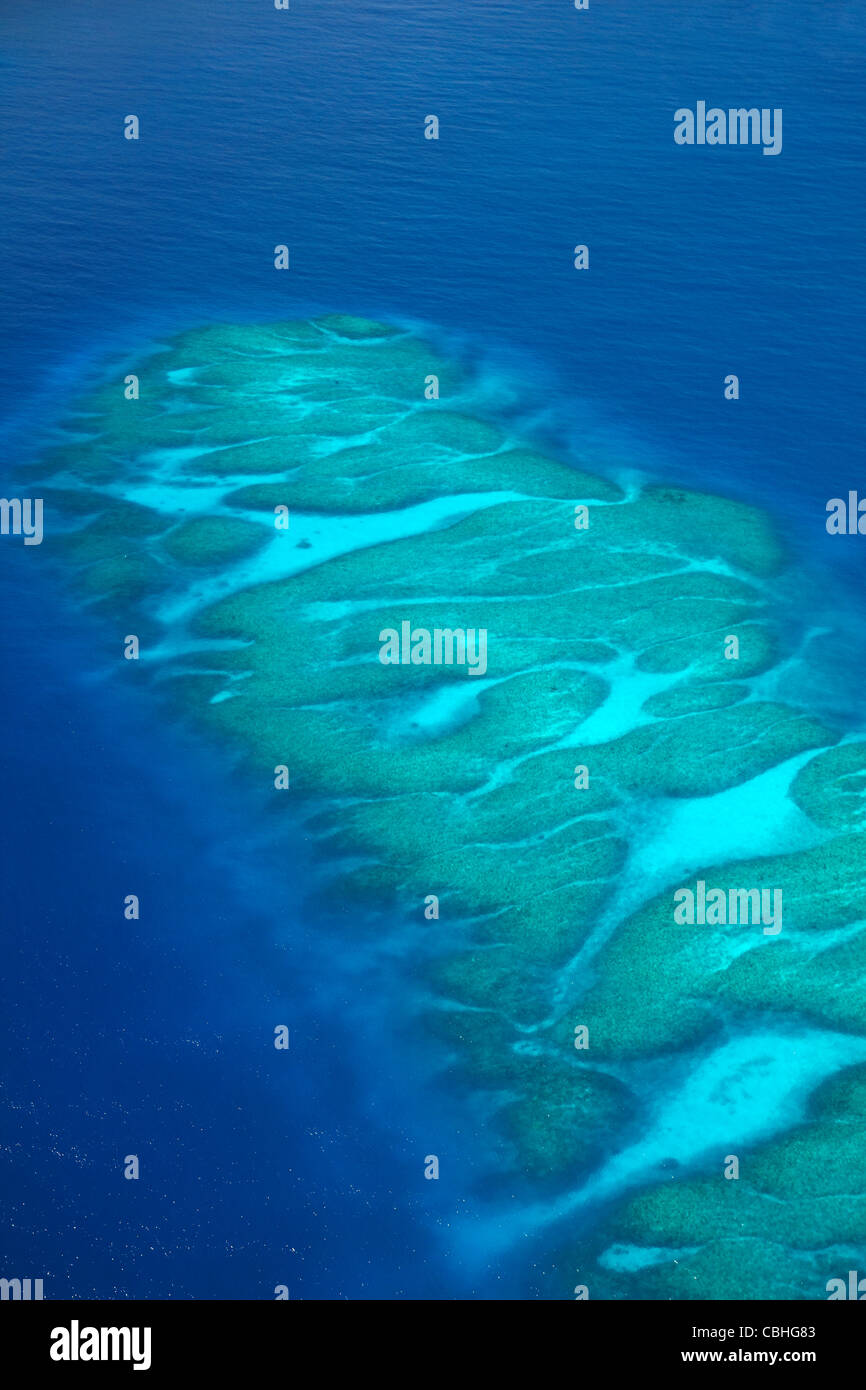 Coral reef near Monuriki Island, Mamanuca Islands, Fiji, South Pacific ...