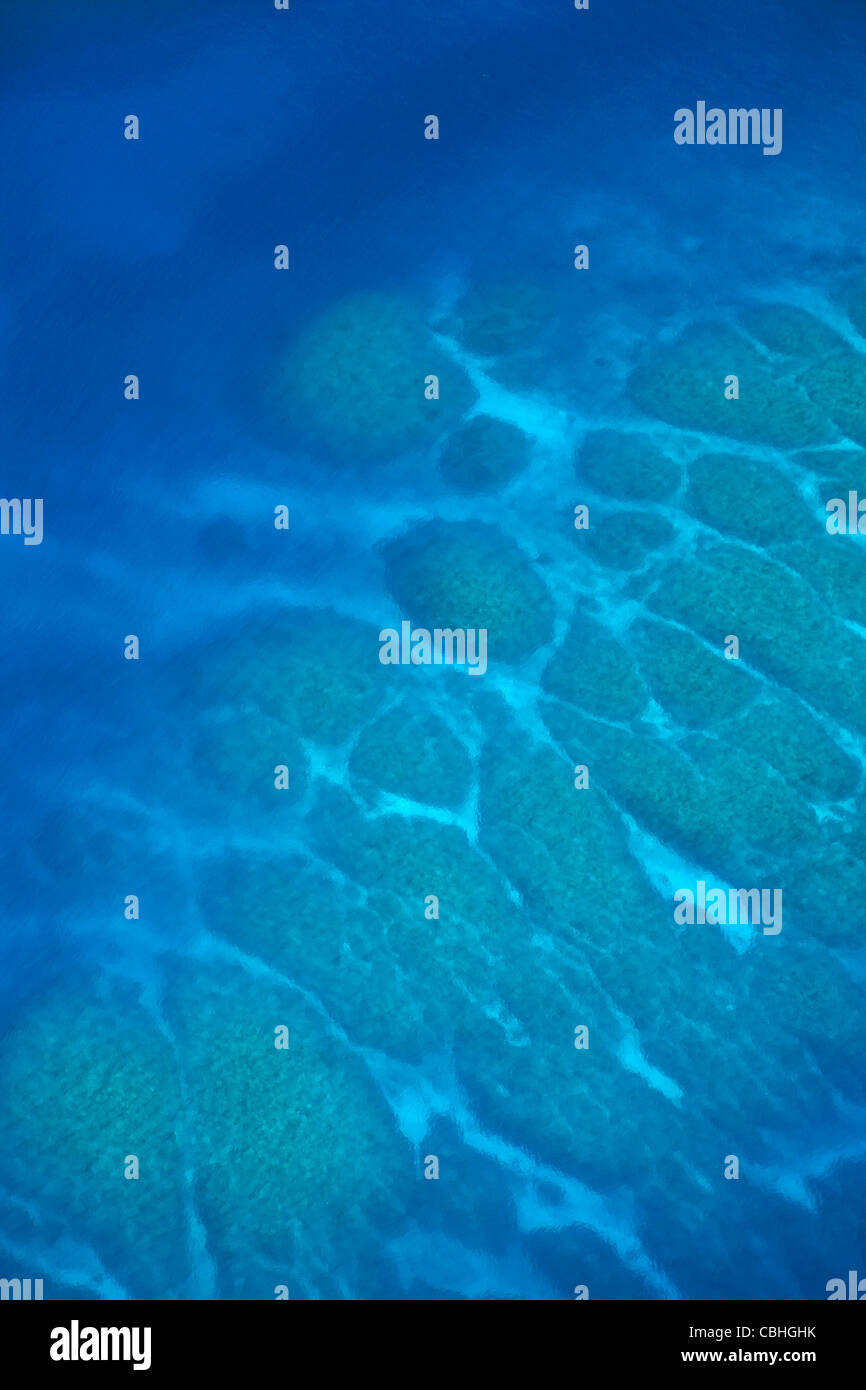 Coral reef by Monu Island, Mamanuca Islands, Fiji, South Pacific ...