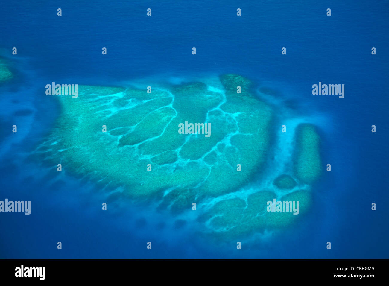 Coral reef near Monuriki Island, Mamanuca Islands, Fiji, South Pacific ...