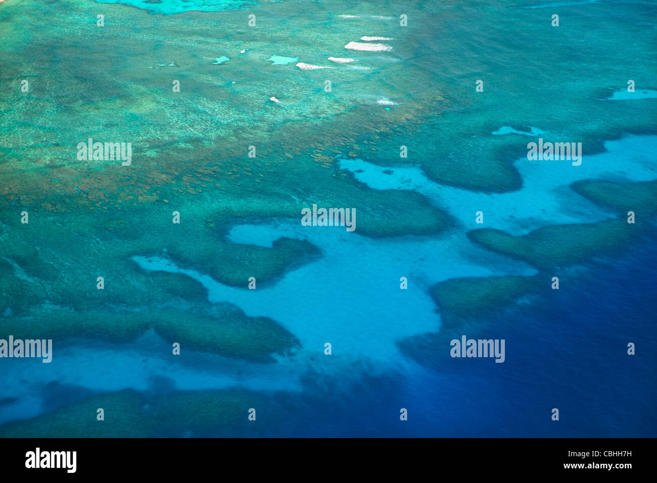 Coral reef near Monuriki Island, Mamanuca Islands, Fiji, South Pacific ...