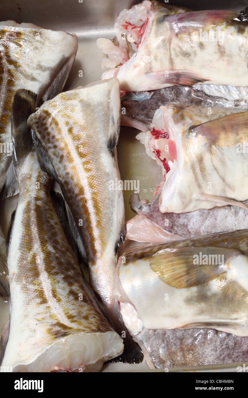 Raw cod fish fillets in kitchen Stock Photo - Alamy