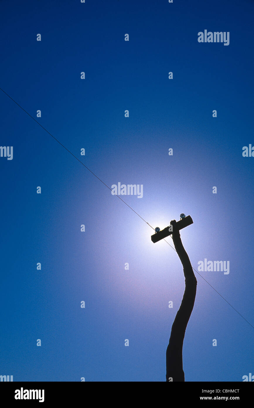 Low angle view of a crooked utility pole used in rural areas of Baja ...