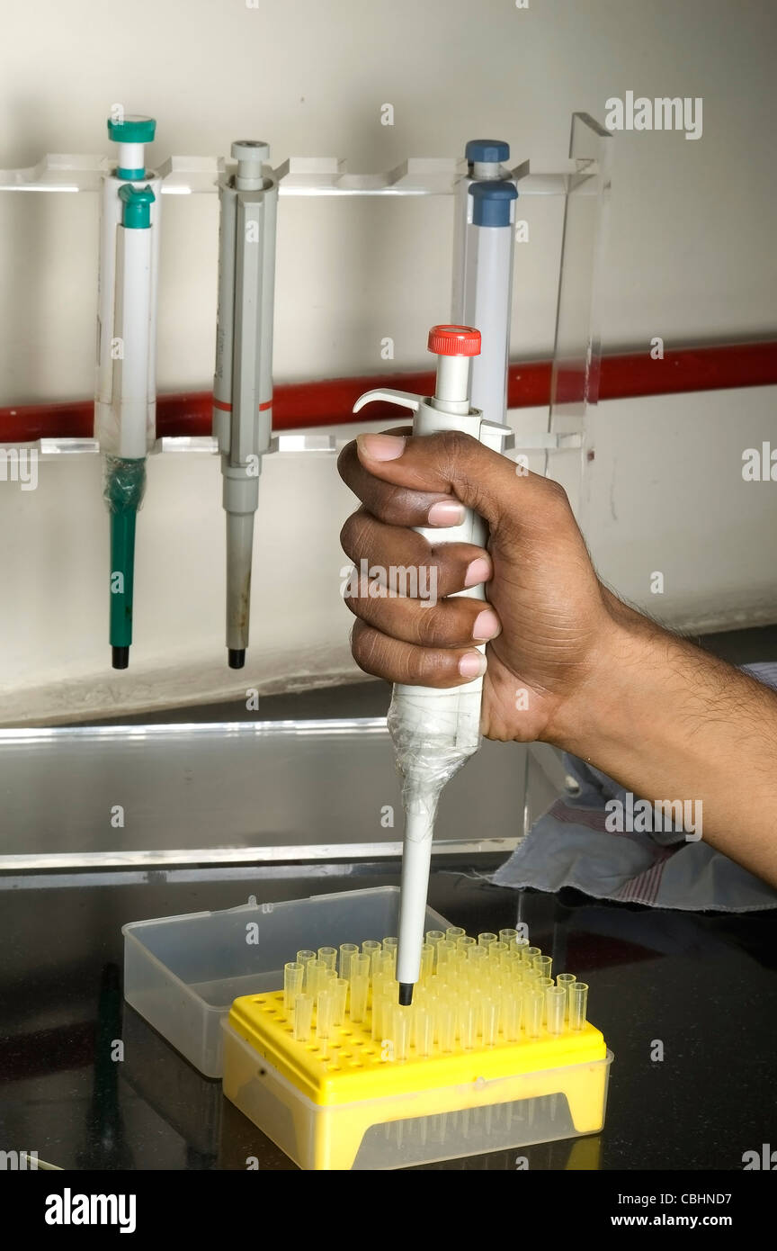 Loading DNA sample in Electrophoresis Stock Photo - Alamy