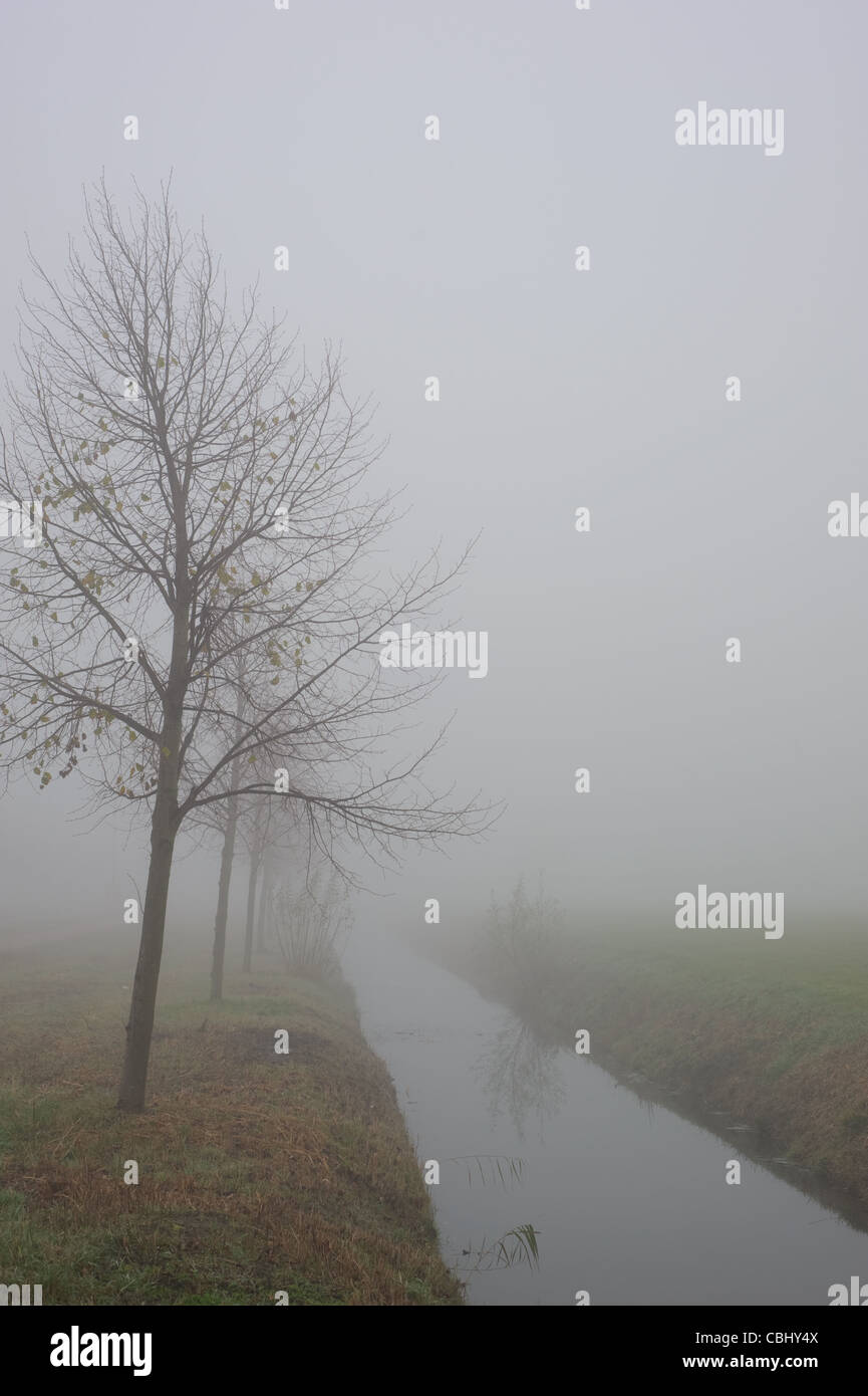 River leading into the fog with tree Stock Photo - Alamy
